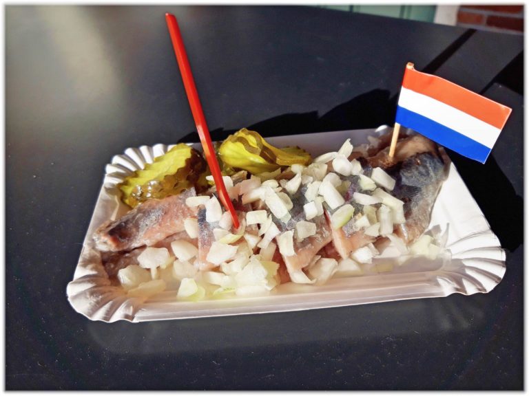 アムステルダムから近い！のどかな風景が見れるフォーレンダムとマルケン | Arto Explore